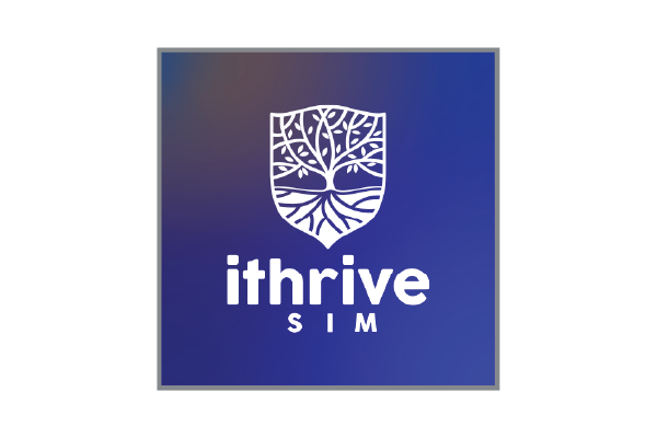iThrive Sim – Portfolio - iThrive Games Foundation